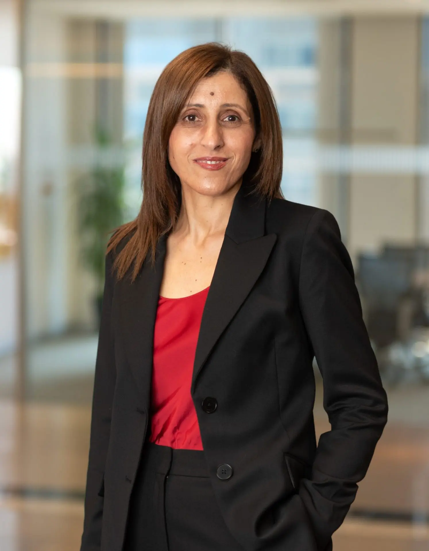About Baybridge - Franchise Lawyers & Advisors